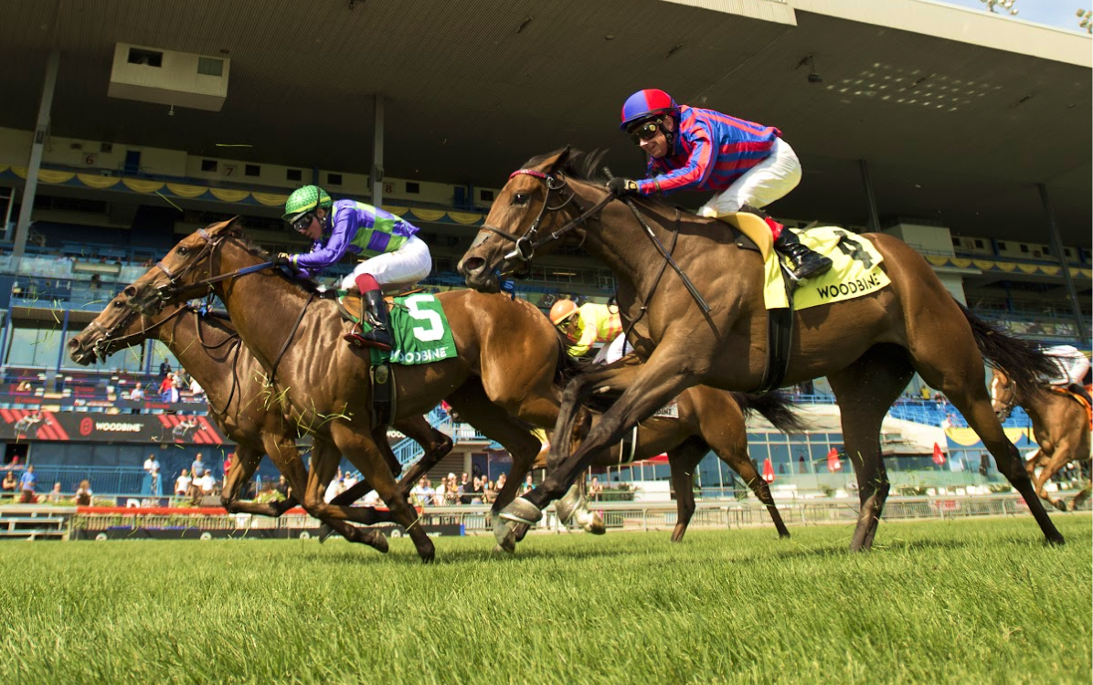 ICYMI: Underdogs Steal the Show During Sprawling Stakes Weekend - Railbirds